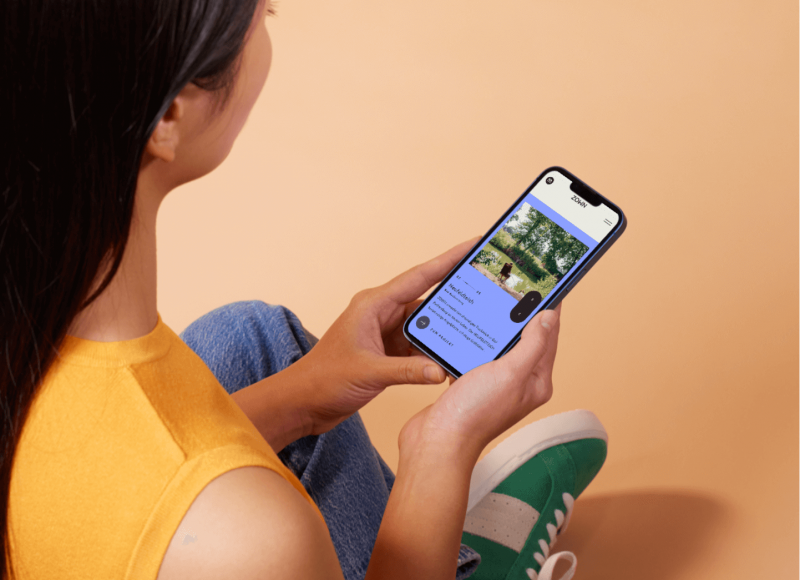 ZOWN - eine Multisite Lösung von Probots » Probots